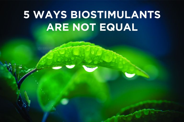 Importance of biostimulants for the next gen food chain - Biostimulant.com