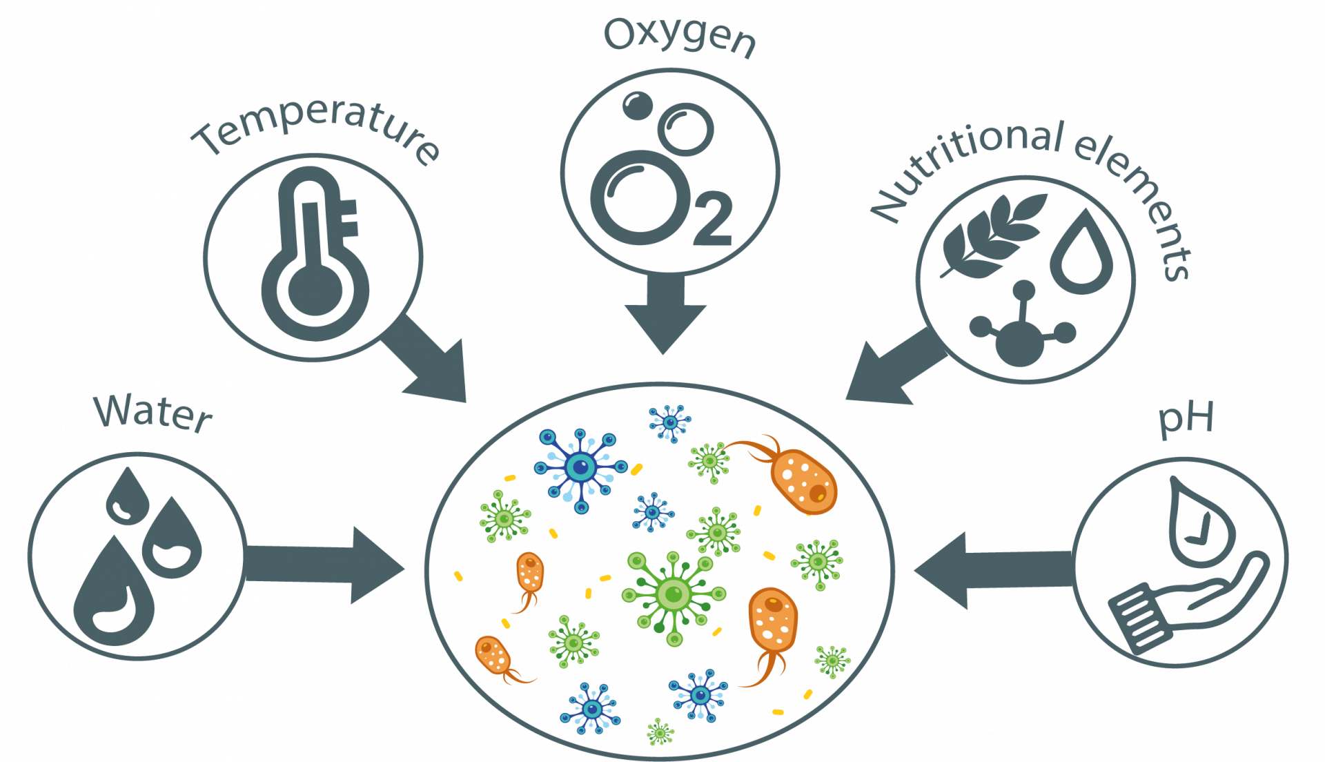 BIOSTIMULANT.COM Focus on : Beneficial micro-organisms- Biostimulant.com