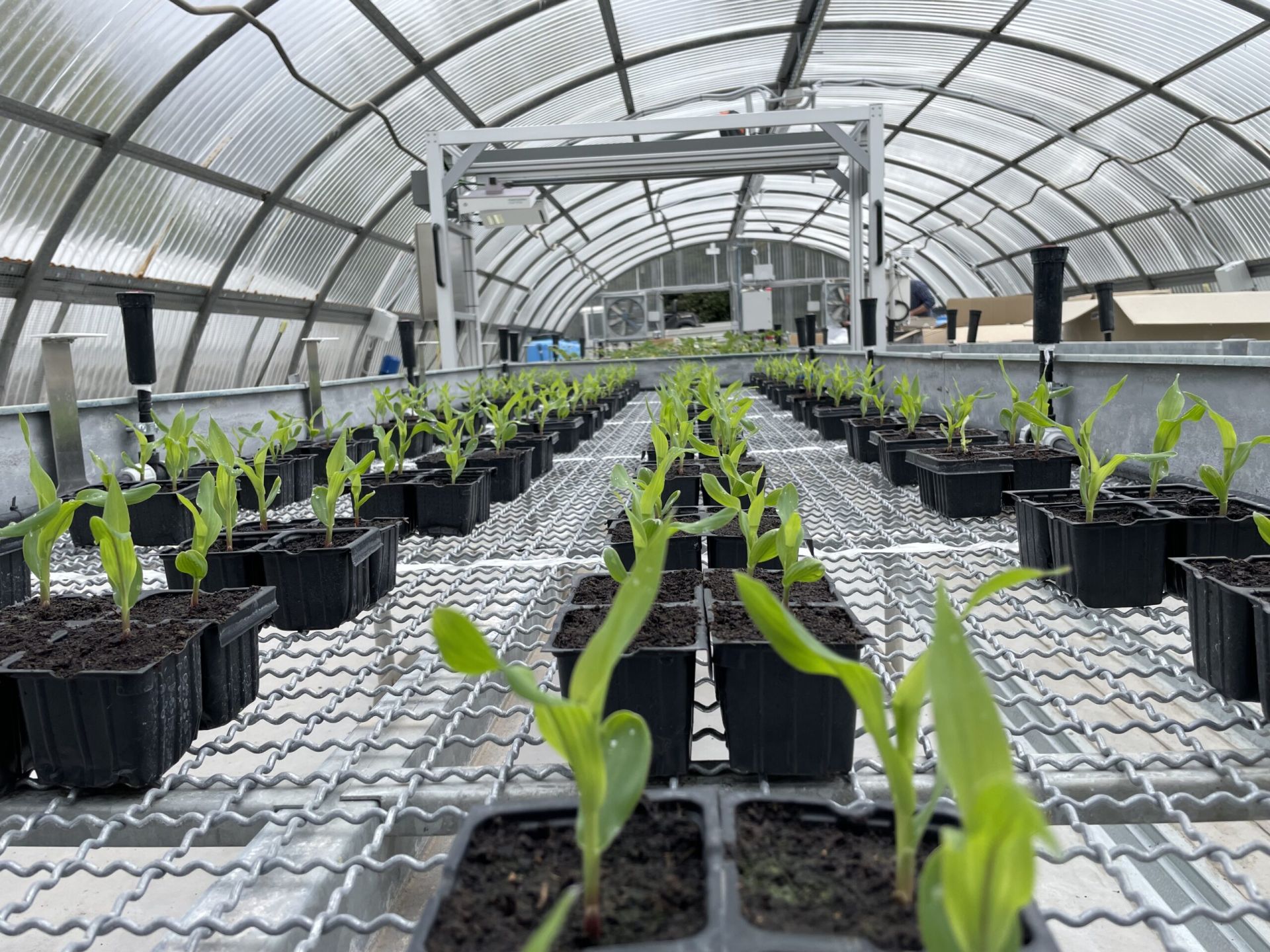 How to choose the right biostimulant and to assess its performance at ...