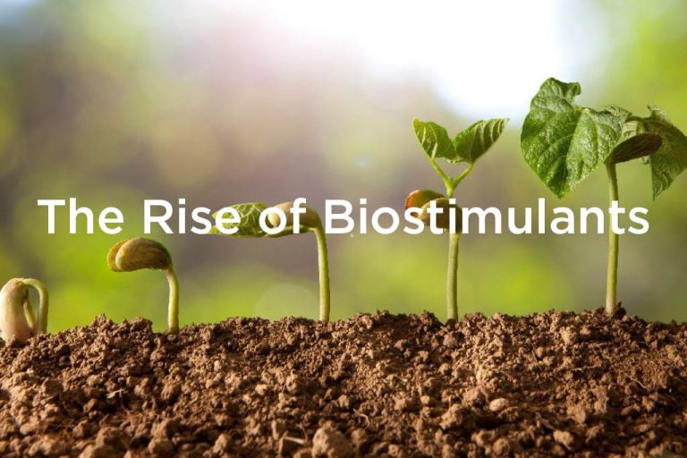 Biostimulants research global trends in 2021 - Biostimulant.com