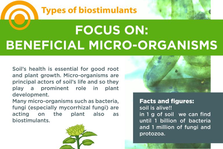 Origine and evolution of the term biostimulant - Biostimulant.com