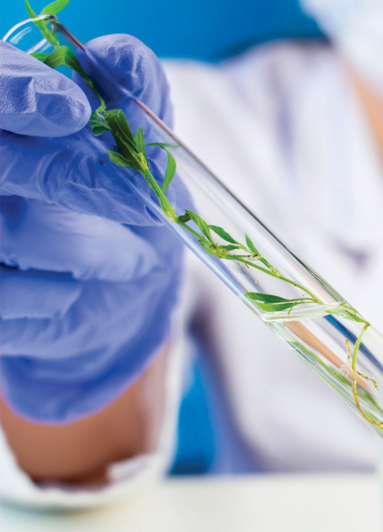 ABOUT BIOSTIMULANTS - Biostimulant.com