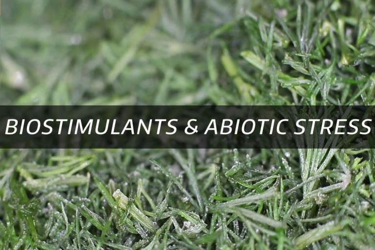 Blog Post Page - Biostimulant.com