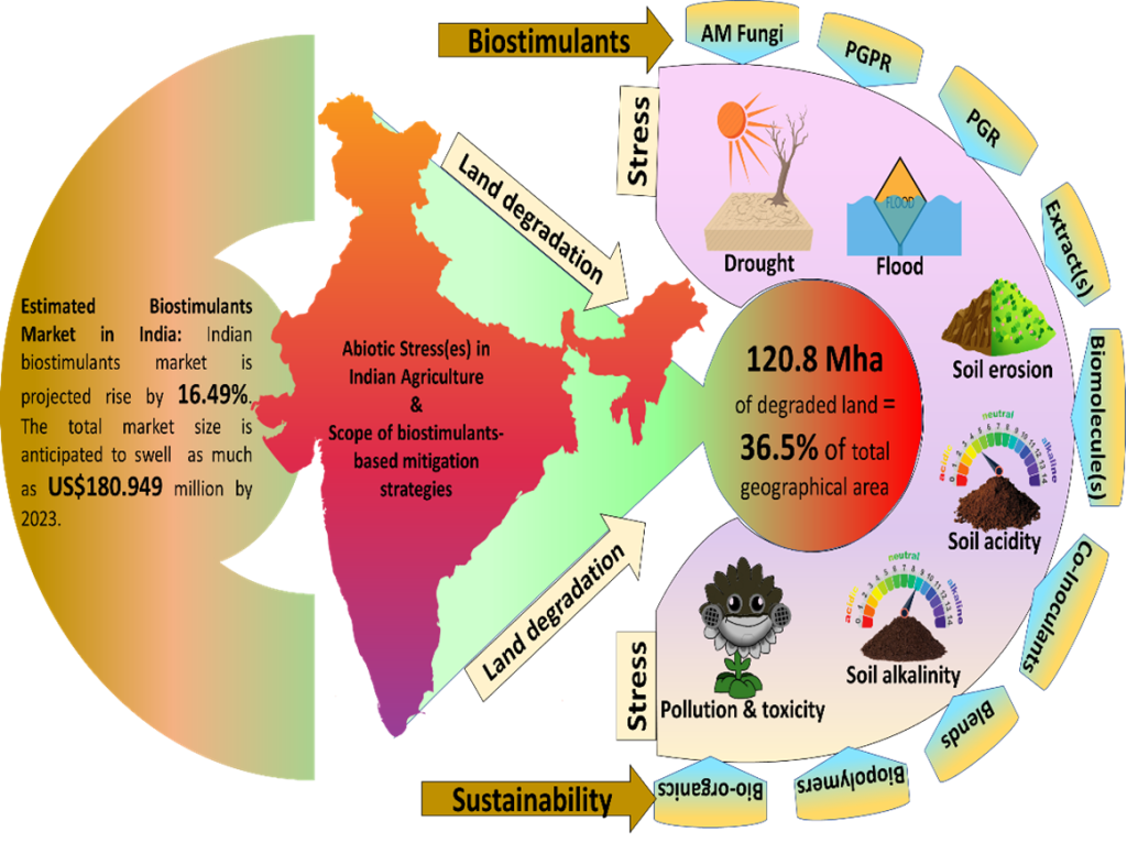 Biostimulants in Agriculture: An Indian perspective - Biostimulant.com