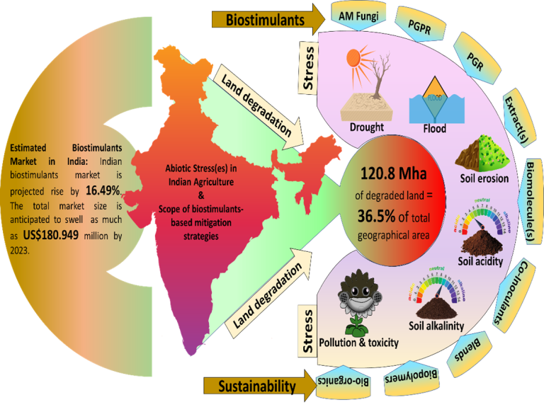 Biostimulants in Agriculture: An Indian perspective - Biostimulant.com