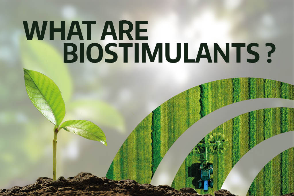QUÉ SON LOS BIOESTIMULANTES - Biostimulant.com