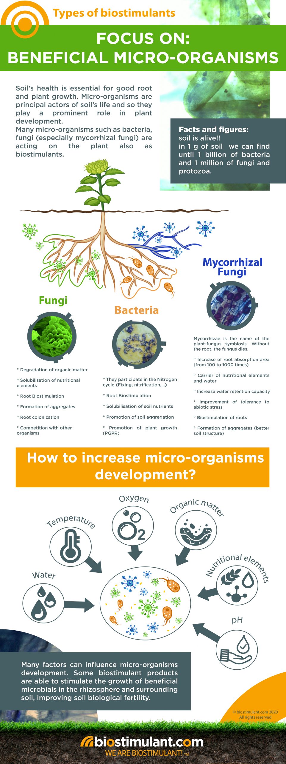 Types of Biostimulants - Microorganisms - Biostimulant.com