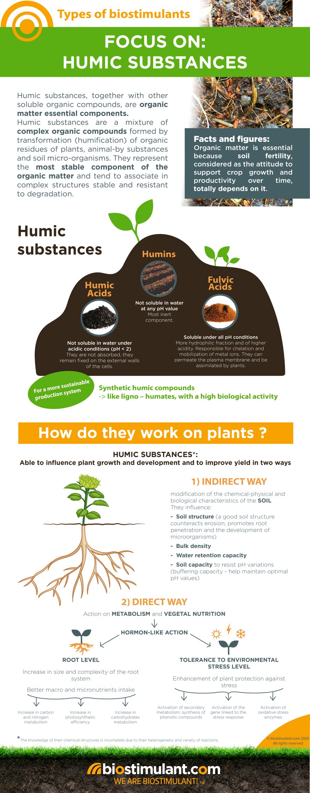 TYPES OF BIOSTIMULANTS: HUMIC SUBSTANCES - Biostimulant.com